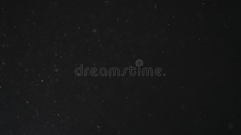 Dust Particles Float in Neutral Light on Black Background Stock Photo ...