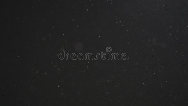 Dust Particles Float in Neutral Light on Black Background Stock Photo ...