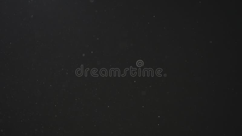 Dust Particles Float in Neutral Light on Black Background Stock Photo ...