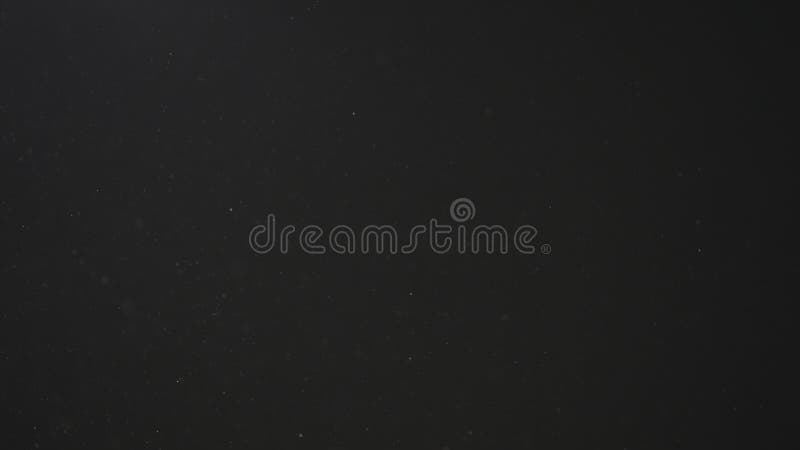 Dust Particles Float in Neutral Light on Black Background Stock Image ...