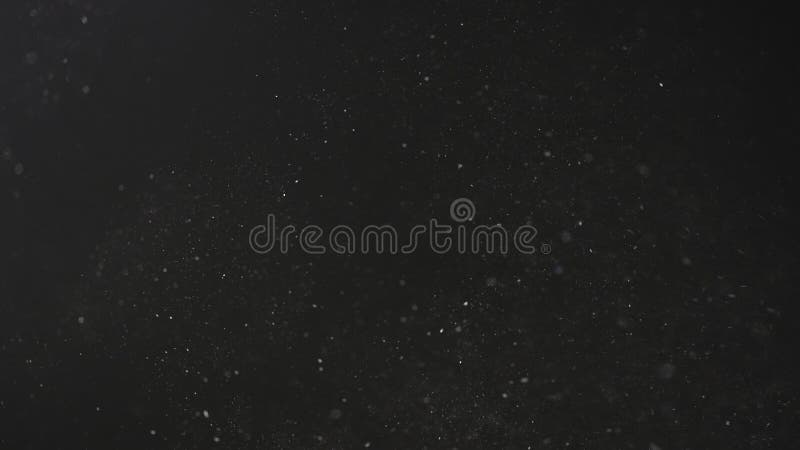 Dust Particles Float in Neutral Light on Black Background Stock Image ...
