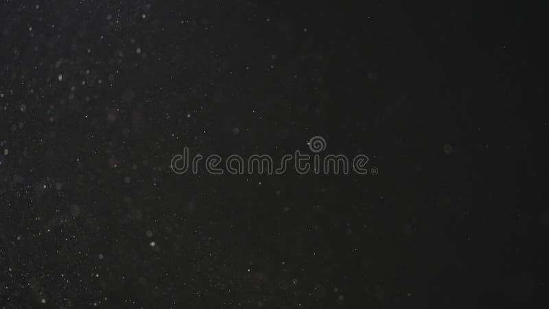 Dust Particles Float in Neutral Light on Black Background Stock Photo ...