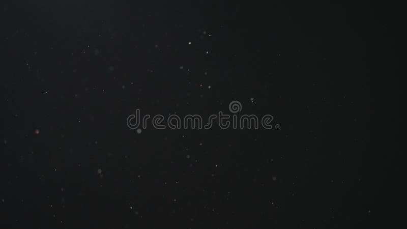 Dust Particles Float in Neutral Light on Black Background Stock Photo ...