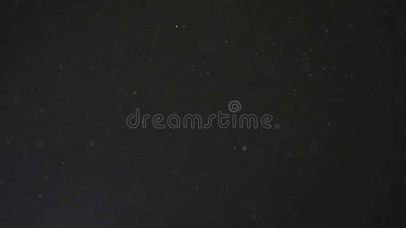 Dust Particles Float in Neutral Light on Black Background Stock Image ...