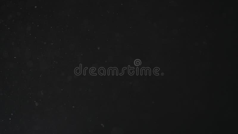Dust Particles Float in Neutral Light on Black Background Stock Photo ...