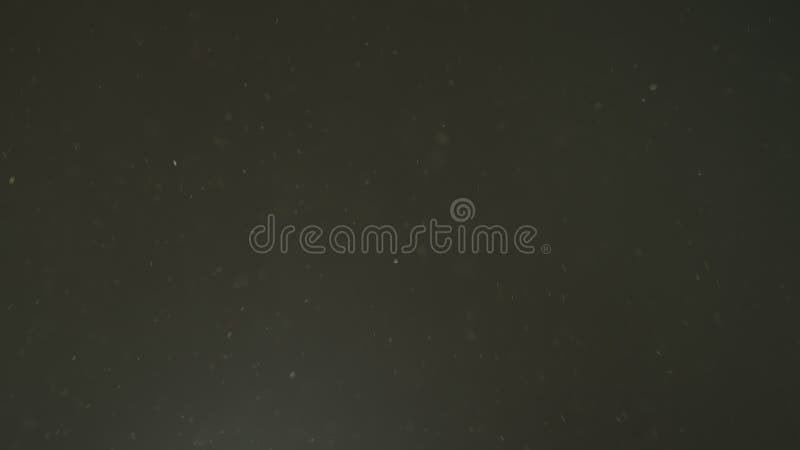 Dust Particles Floating in Air with Natural Back Light Stock Footage ...
