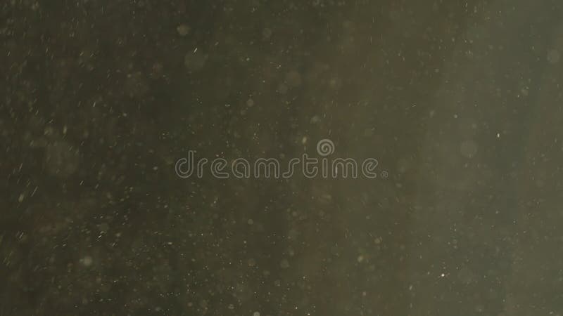 Dust Particles Floating in Air with Natural Back Light Stock Image ...