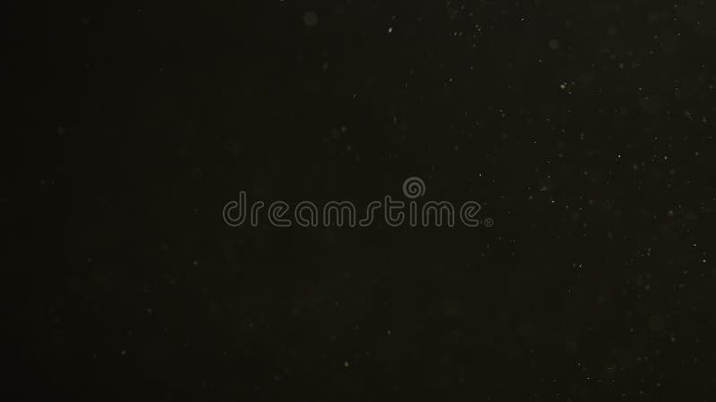 Dust Particles Floating in Air with Natural Back Light Stock Photo ...