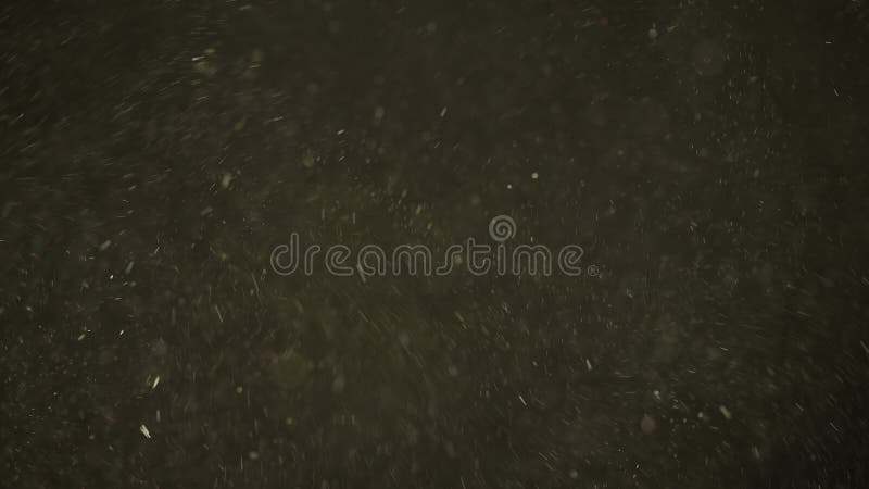 Dust Particles Floating in Air with Natural Back Light Stock Image ...