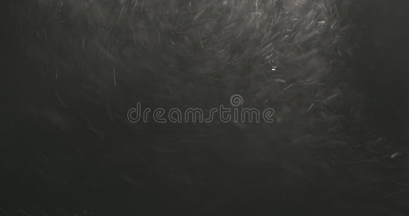Dust Particles Floating Over Black Background with Motion Blur Stock ...