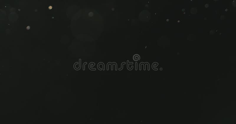 Dust Particles Floating Over Black Background with Motion Blur Stock ...