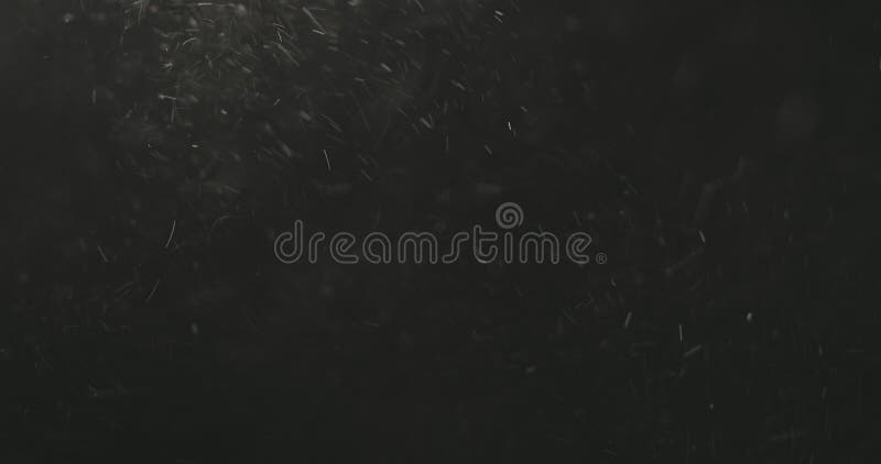 Dust Particles Floating Over Black Background with Motion Blur Stock ...