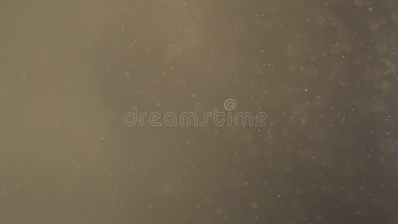 Dust Particles Powder Effect Background. Blurred Dust is Slowly Flying ...