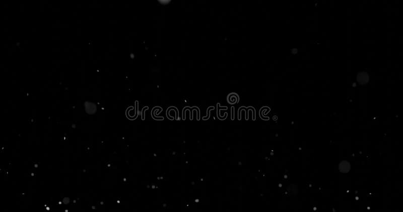 Dust Particles for Video Overlay Stock Footage - Video of white, dust ...