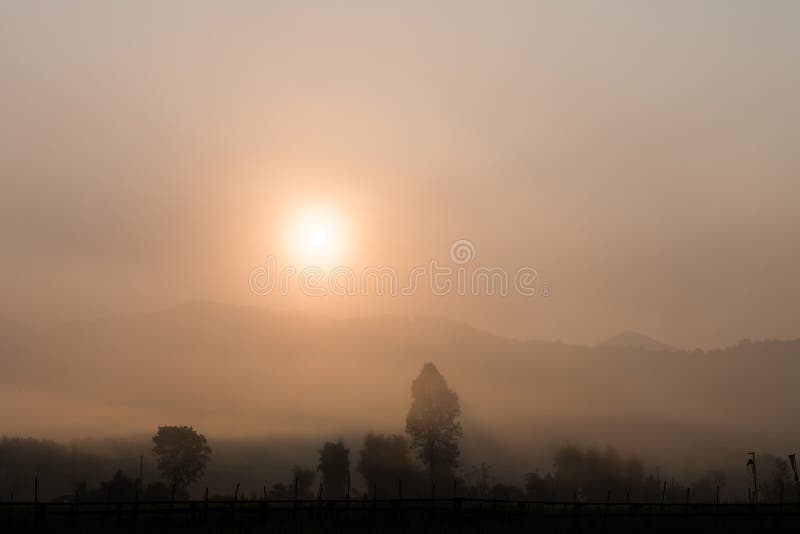 Dust pm2.5 in the morning stock photo. Image of light - 168374450