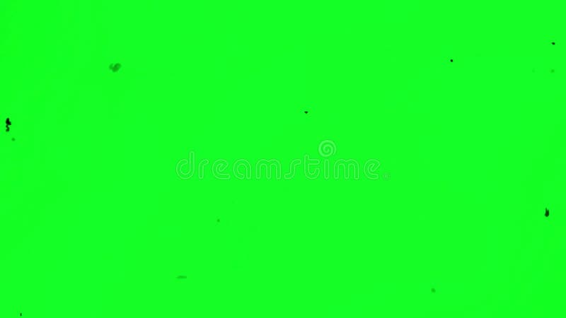 Dust and Scratches on Green Screen Stock Video - Video of frame ...