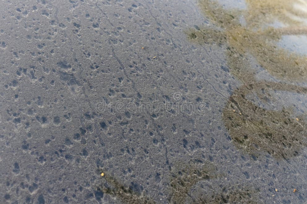 Dust and Raindrops Stain on Windshield. Stock Image - Image of curve ...