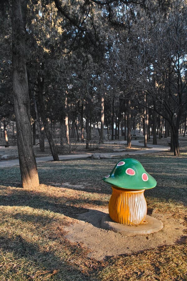 Dustbin stock image. Image of tree, sunlight, mushroom - 36577297