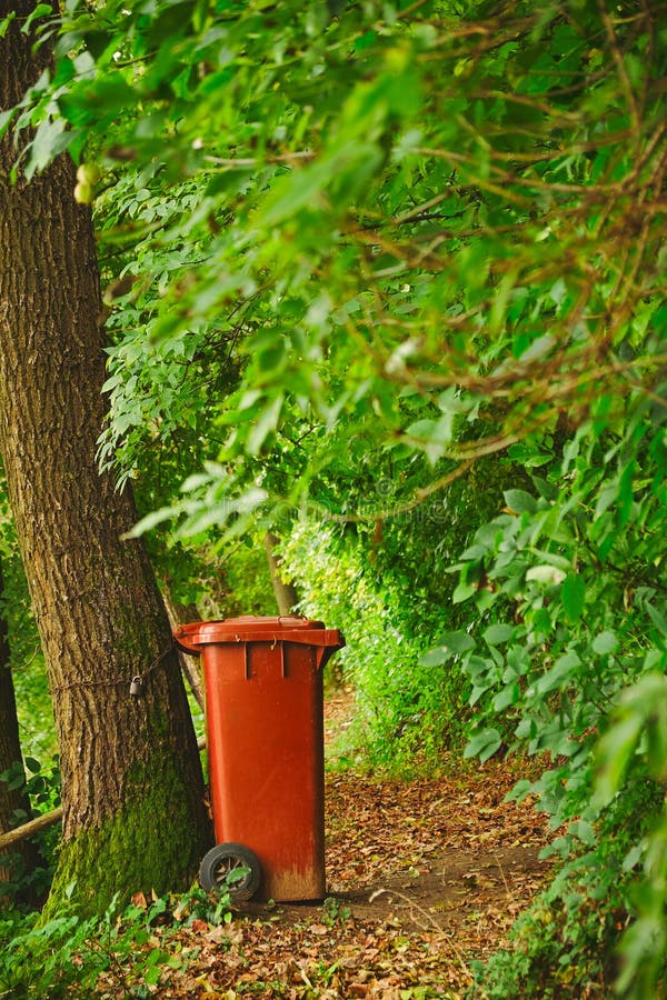Dustbin in nature stock image. Image of pollution, junk - 132641799