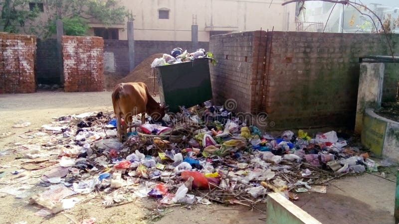 Dry Waste & Wet Waste Dustbin in a Park in India. Editorial Photography ...