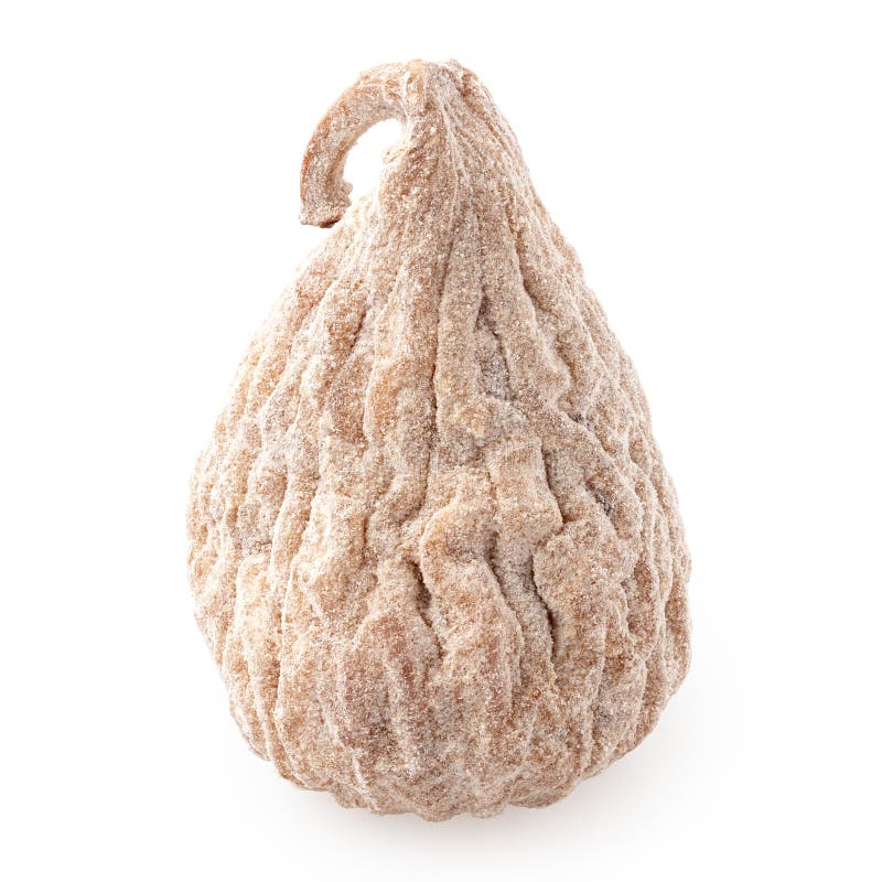 Dusted Dried Baby Fig Isolated on White Stock Image - Image of baby ...