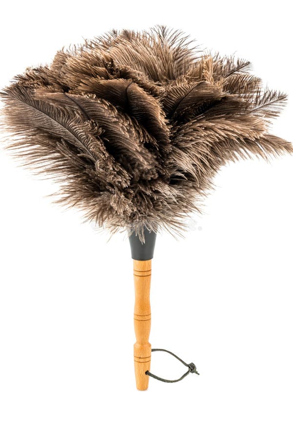 Feather Duster Against White Background Stock Photos - Free & Royalty ...