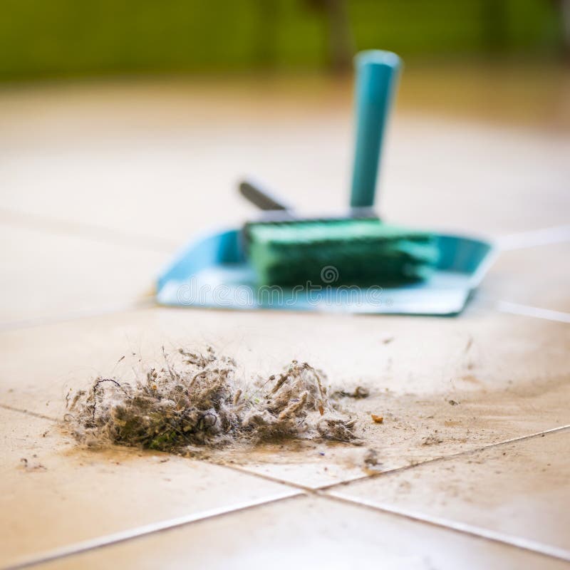 Dustpan and Brush stock photo. Image of equipment, home - 136987526