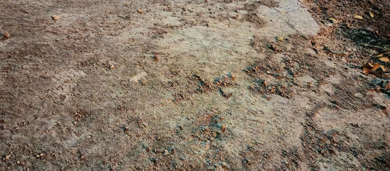 Dusty Earth Ground Texture with Scattered Debris Stock Photo - Image of ...