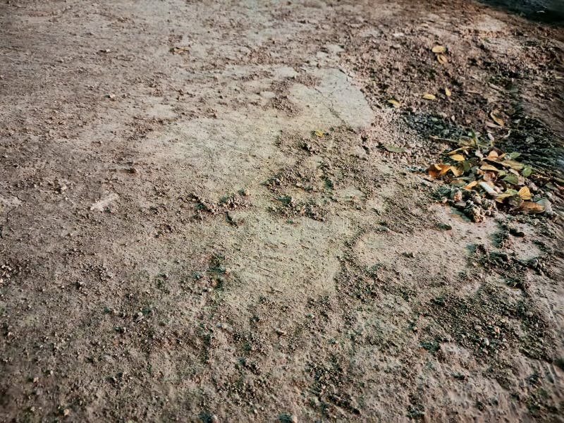Dusty Earth Ground Texture with Scattered Debris Stock Photo - Image of ...