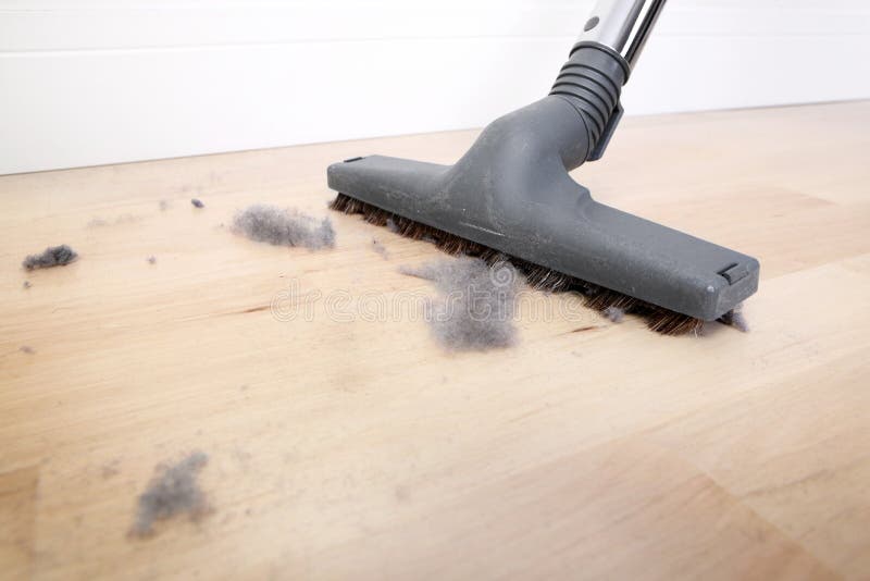 Dusty floor stock photo. Image of plastic, house, work - 23137514