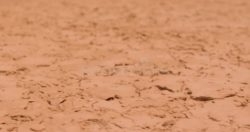 Dry Desert Ground Full of Cracks and Patterns Stock Video - Video of ...