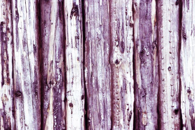 Dusty Magenta Wooden Texture or Wooden Pattern Background Stock Image ...