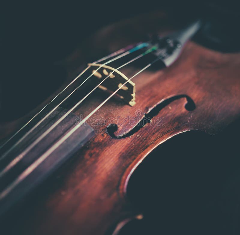 Dusty Old Violin stock photo. Image of fiddle, melody - 362167180