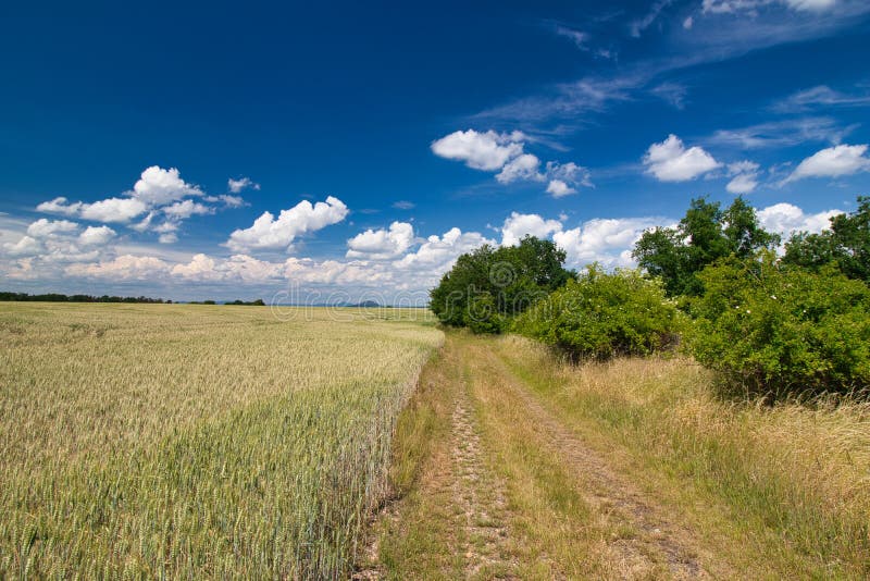A Dusty Path Around Field in Spring Day Under Blue Sky with Clouds ...