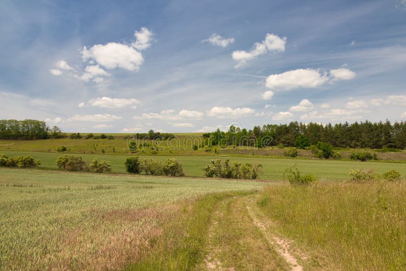 A Dusty Path Around Field in Spring Day Under Blue Sky with Clouds ...