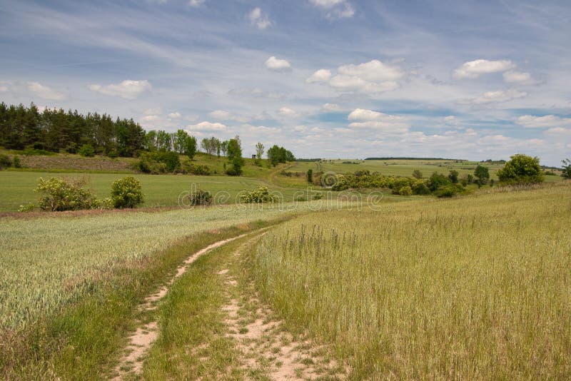 A Dusty Path Around Field in Spring Day Under Blue Sky with Clouds ...