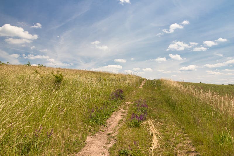 A Dusty Path between Grain Fields in Spring Day Under White Clouds ...