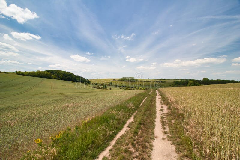 A Dusty Path between Grain Fields in Spring Day Under White Clouds ...