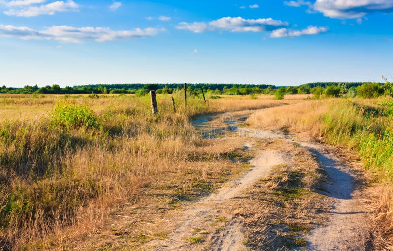 Dusty road with alone tree stock photo. Image of light - 22038630