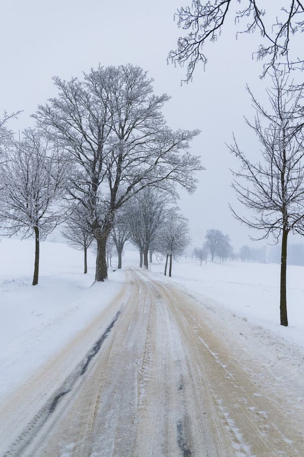 Dusty road with fresh snow stock photo. Image of cold - 251611524