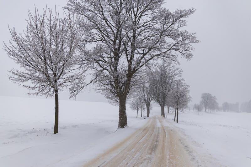 Dusty road with fresh snow stock photo. Image of outdoor - 251611528