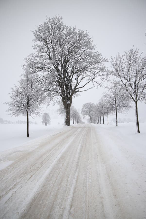 Dusty road with fresh snow stock photo. Image of frozen - 255820632