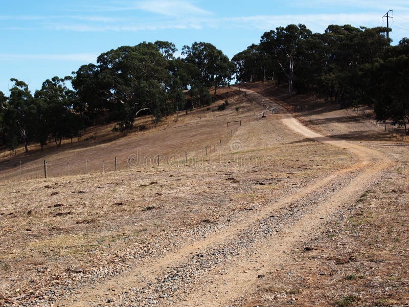 Dusty Road Leading To Eucalyptus Tree Forest Stock Image - Image of ...
