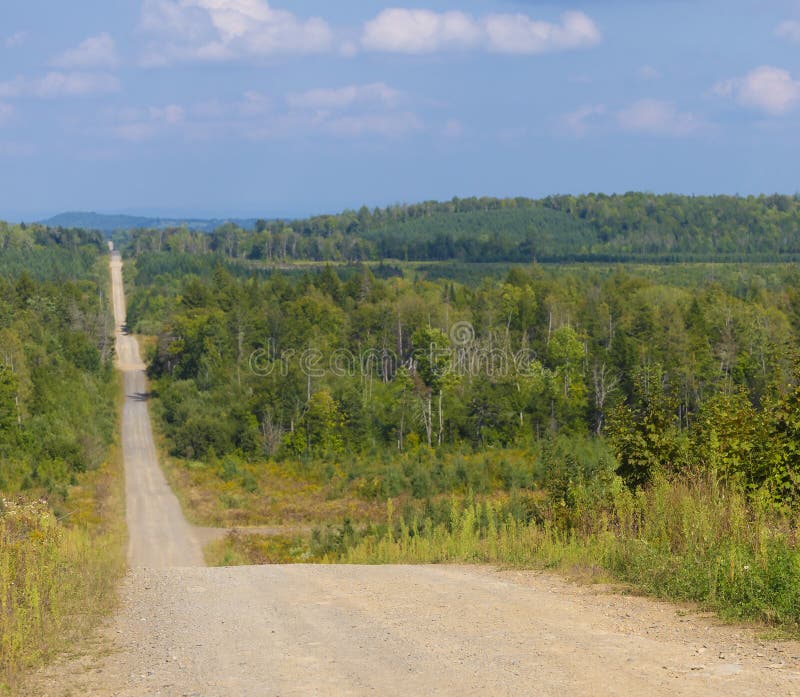 Dusty Road through a Thick Forest in Maine Stock Image - Image of road ...