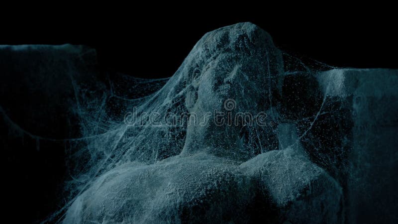 Dusty Statue in Dark Room in Castle Stock Footage - Video of dark ...