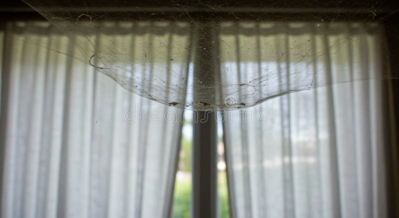Dusty White Sheer Curtains at a Window Stock Illustration ...