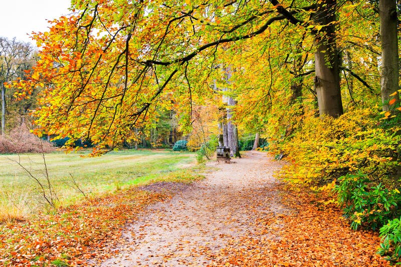 Dutch Autumn Landscape with Footpath and Beech Trees Stock Photo ...