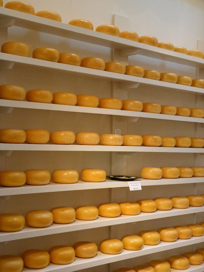 Dutch Cheese editorial stock photo. Image of trail, holland - 19710618