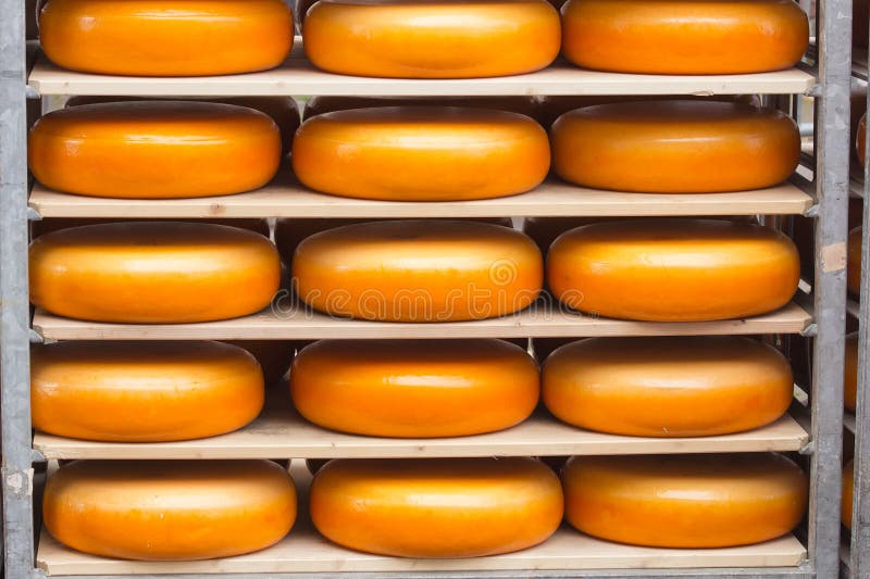 Dutch cheese stock image. Image of food, round, dutch - 26702673