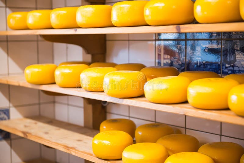 Dutch cheese factory stock photo. Image of manufacturing - 135118962